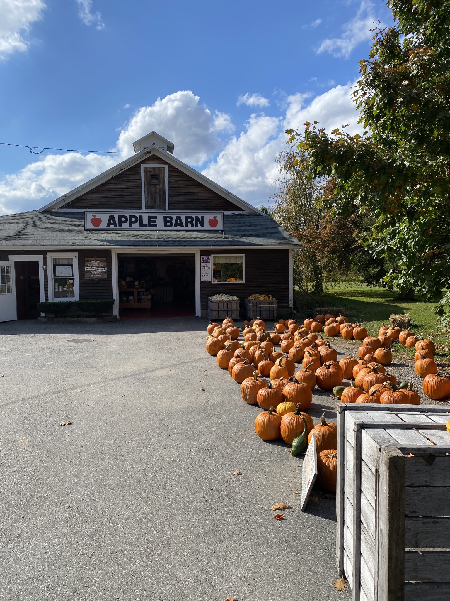 Boston & CT Travel Guide - Fabulously Overdressed