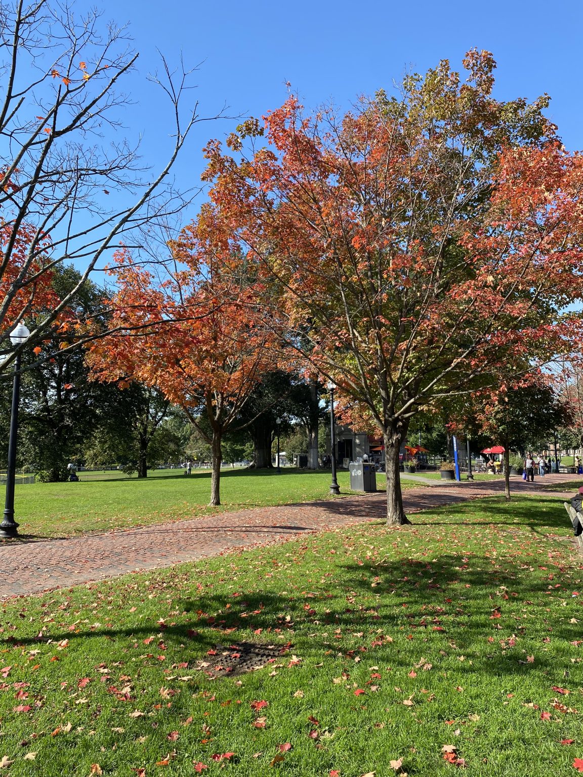 Boston & CT Travel Guide - Fabulously Overdressed